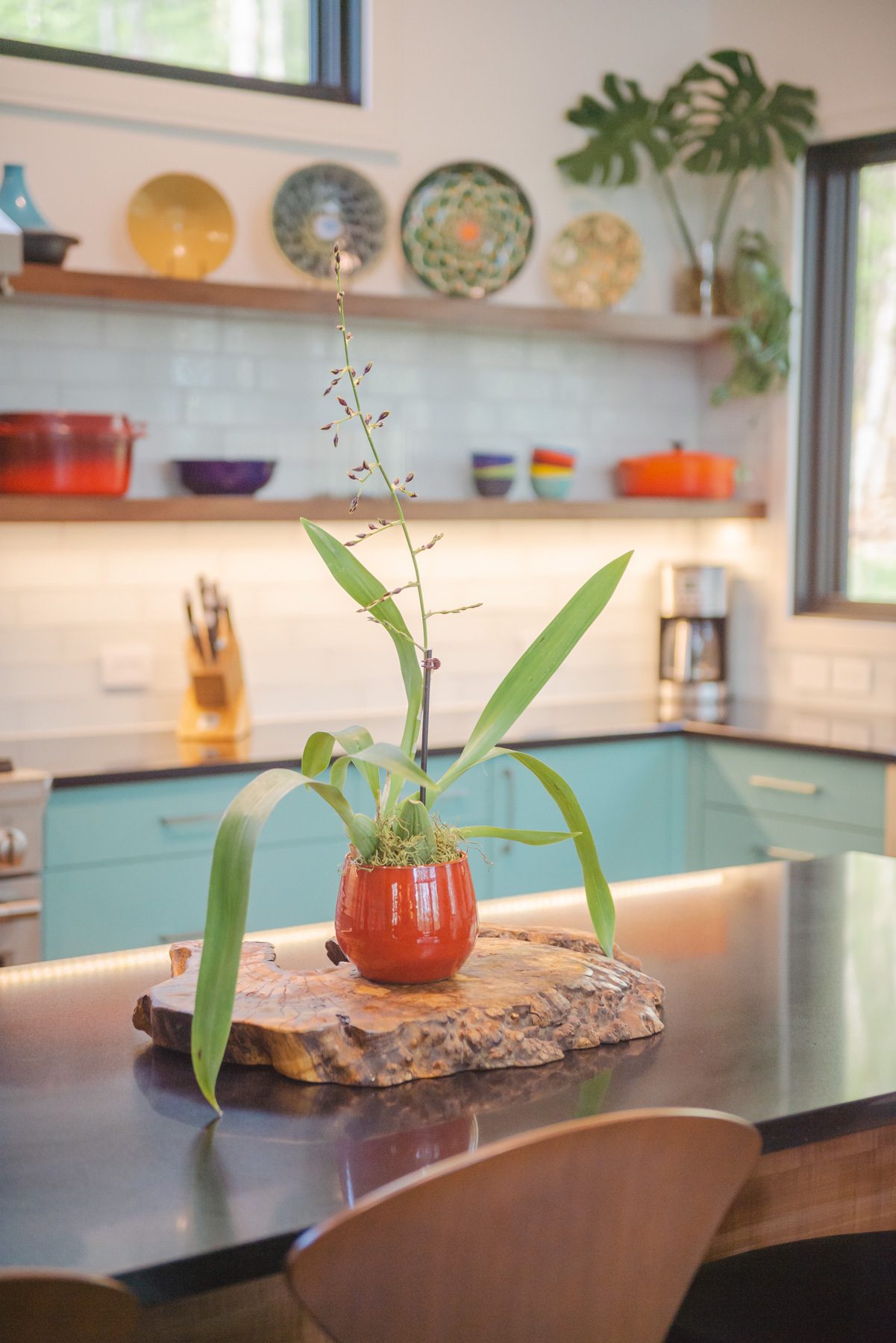 Pittsboro Couple Builds Their Perfect Home on the Haw River